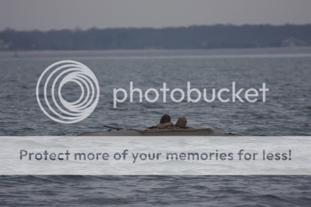 Best 2man layout | Duck Hunting Forum